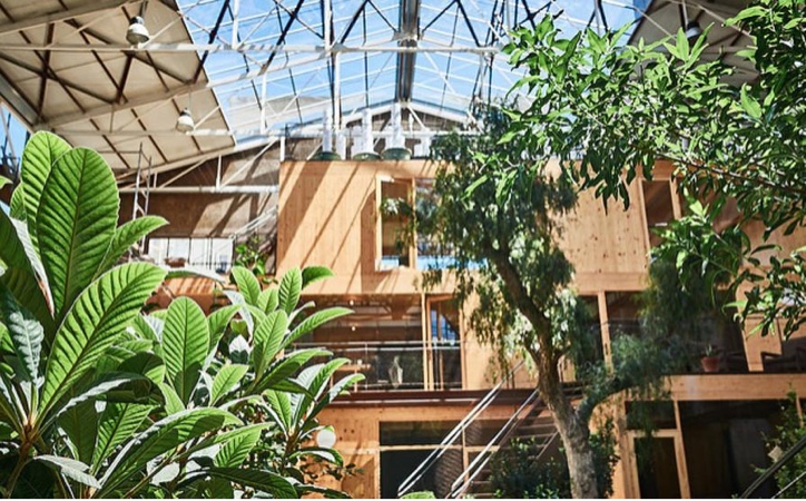 About Tree-Nation - Tree-Nation