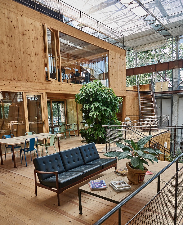 About Tree-Nation - Tree-Nation