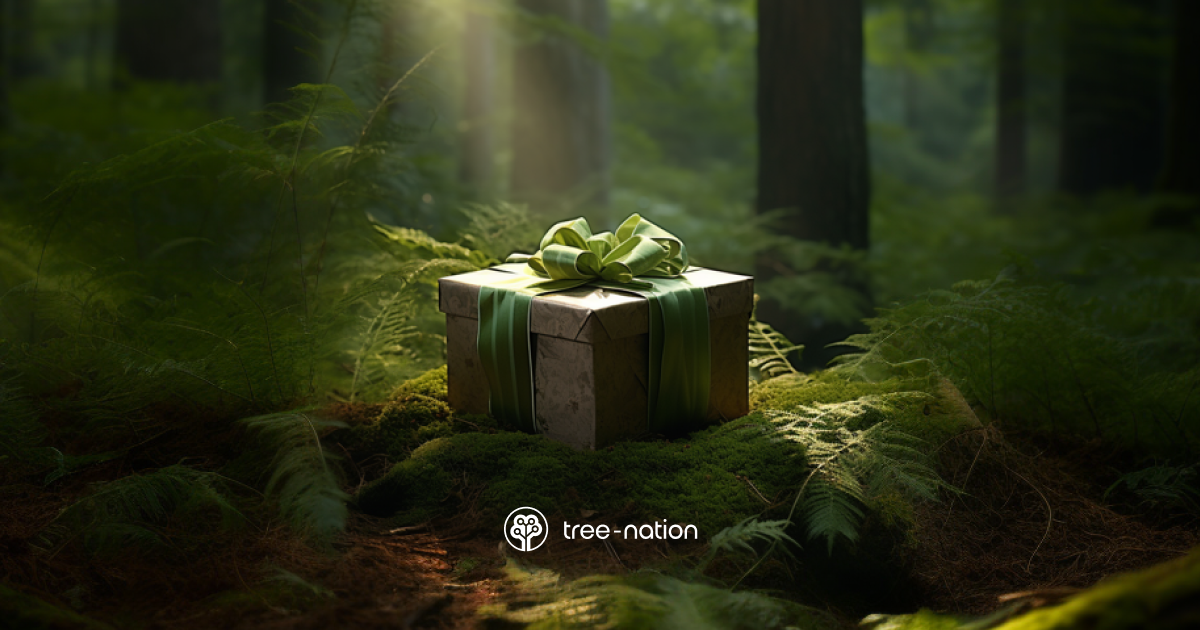 Recupera tu árbol | Tree-Nation