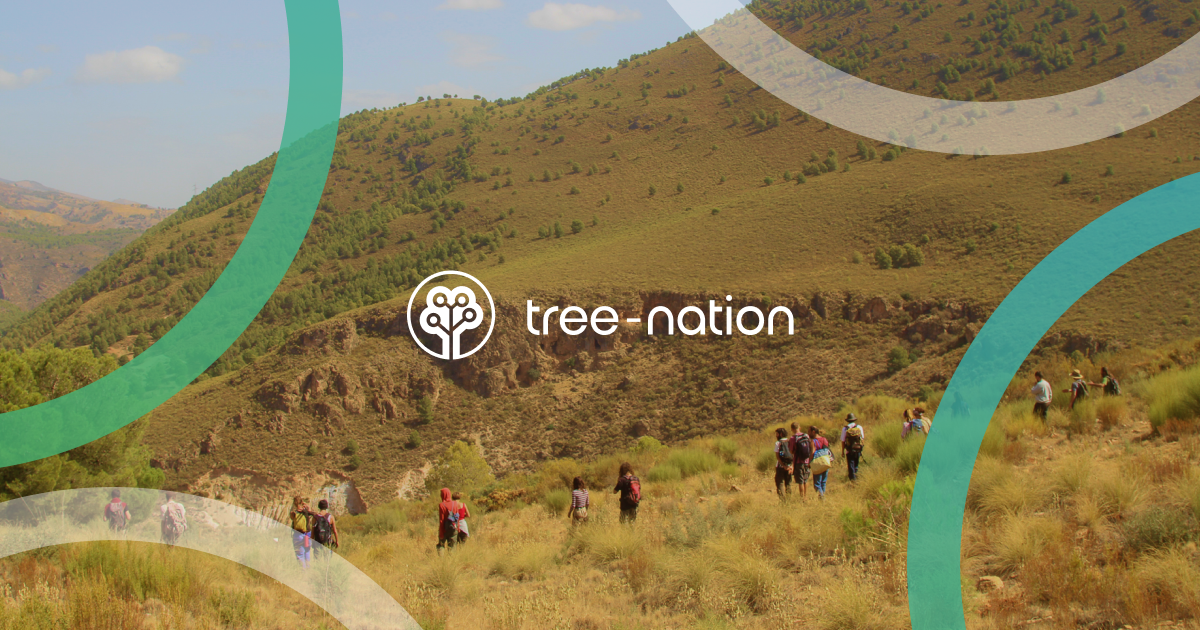List of reforestation projects worldwide | Tree-Nation - Projects